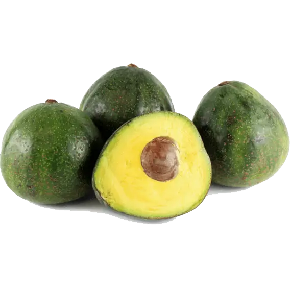 Palta Nava Verde – Rena